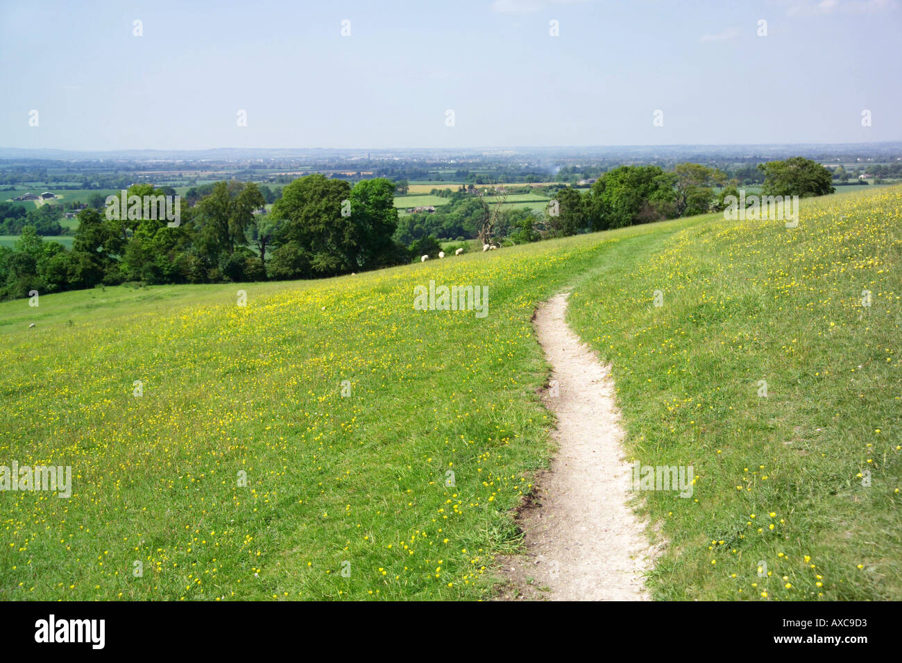 the chilterns views from ridgeway footpath beacon hill Stock Photo - Alamy
