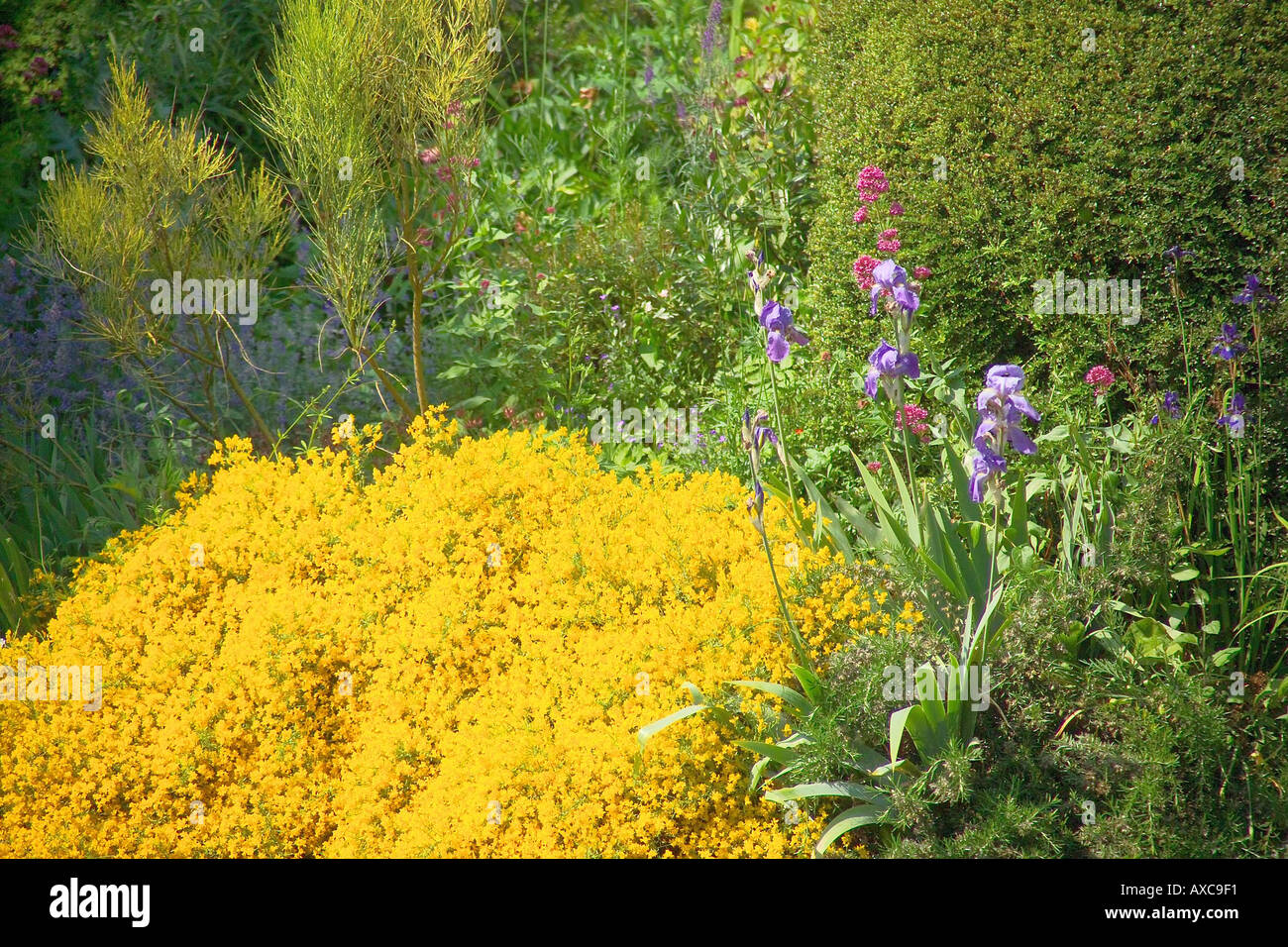 ellesborough village the chilterns buckinghamshire cottage garden Stock ...