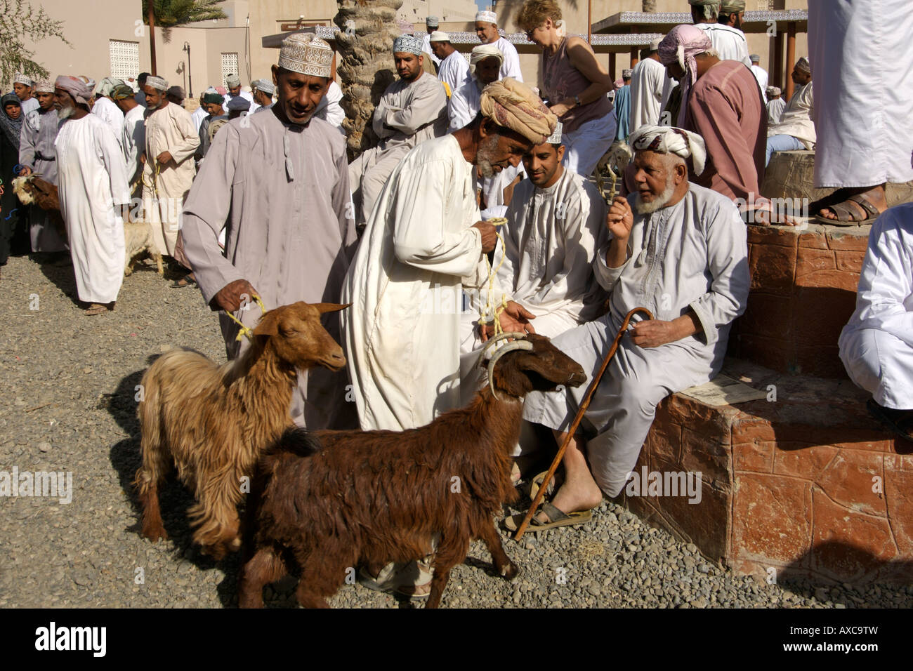 Livestock market nizwa oman hi-res stock photography and images - Alamy