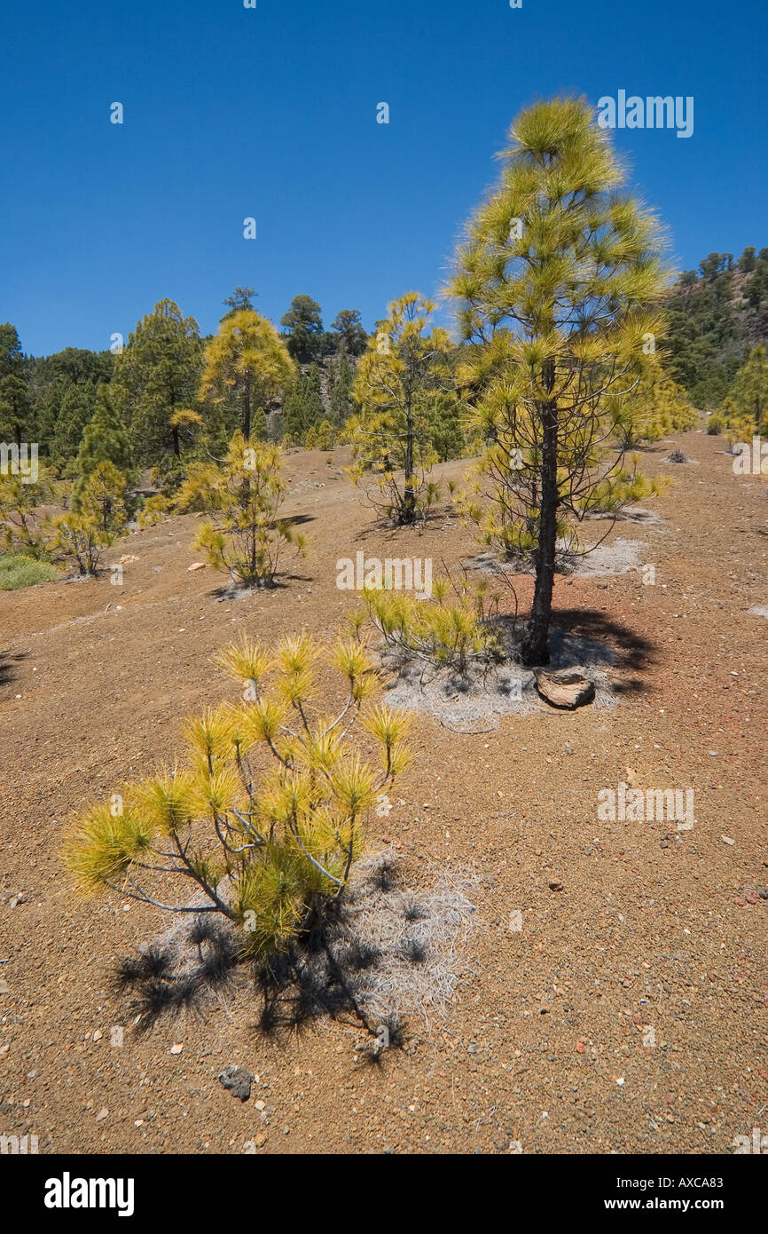 Outer crater slope hi-res stock photography and images - Alamy