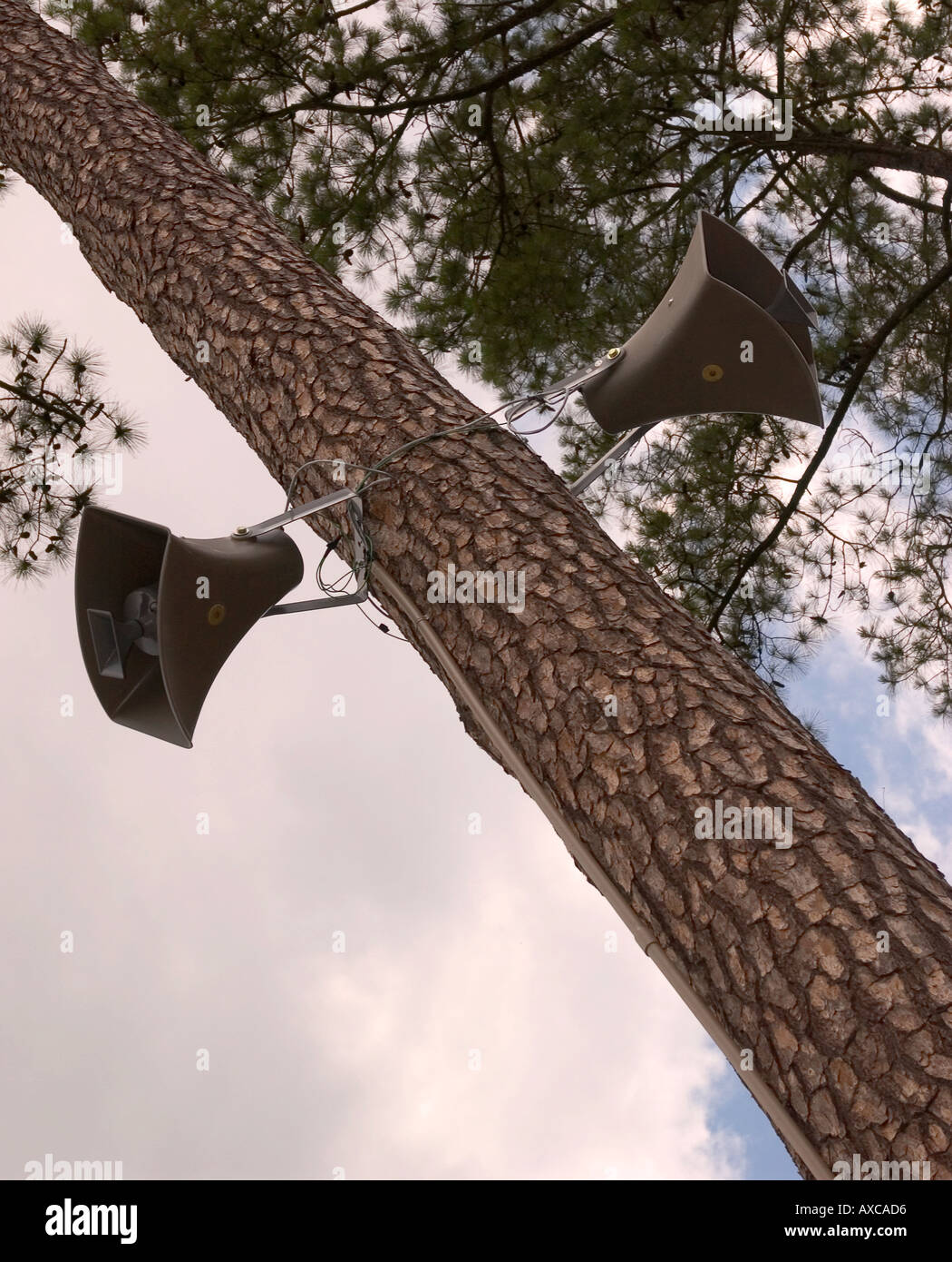 Outdoor loudspeakers mounted on a tree trunk in a wooded area, used for ...