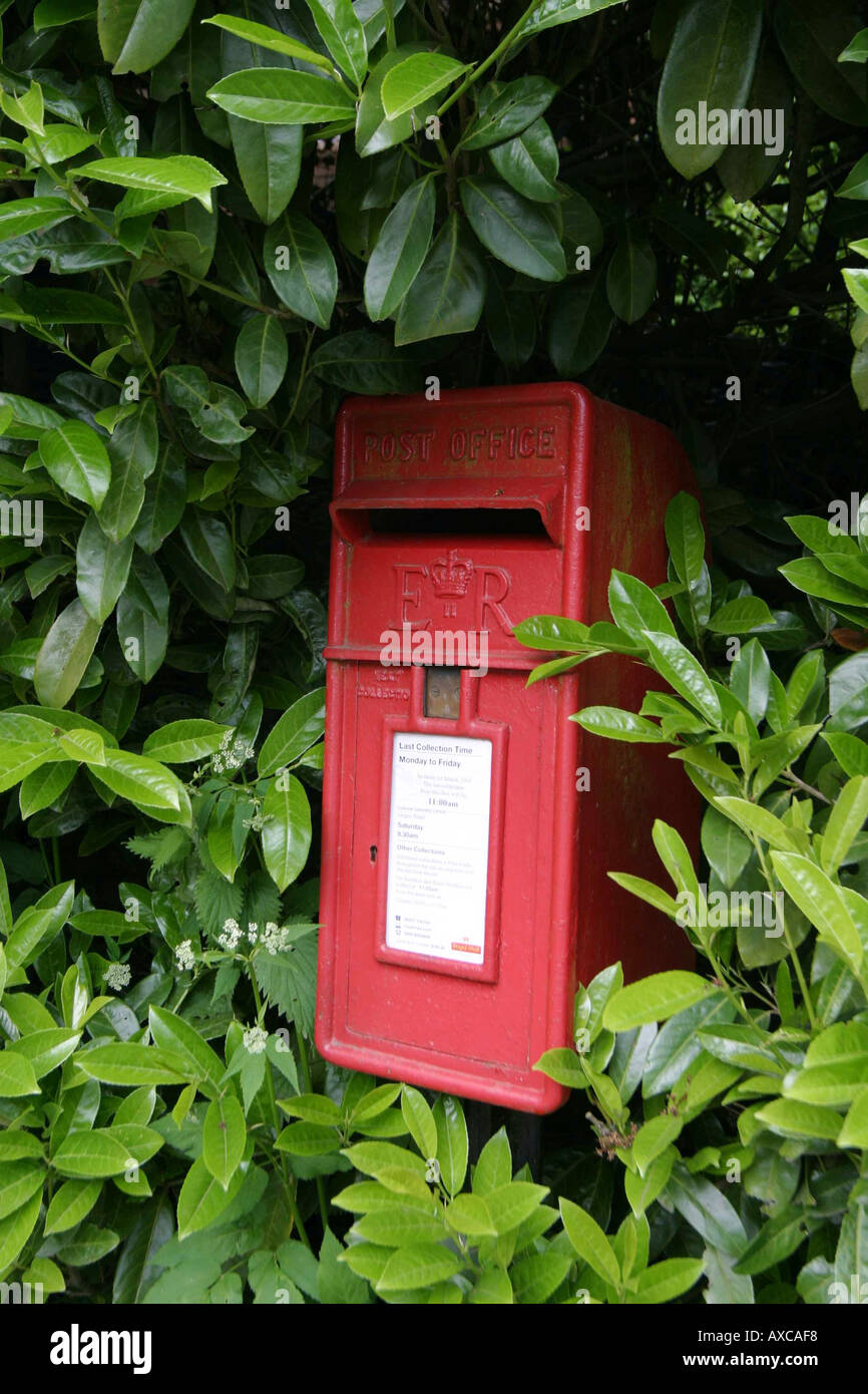 Red laurel hi-res stock photography and images - Alamy
