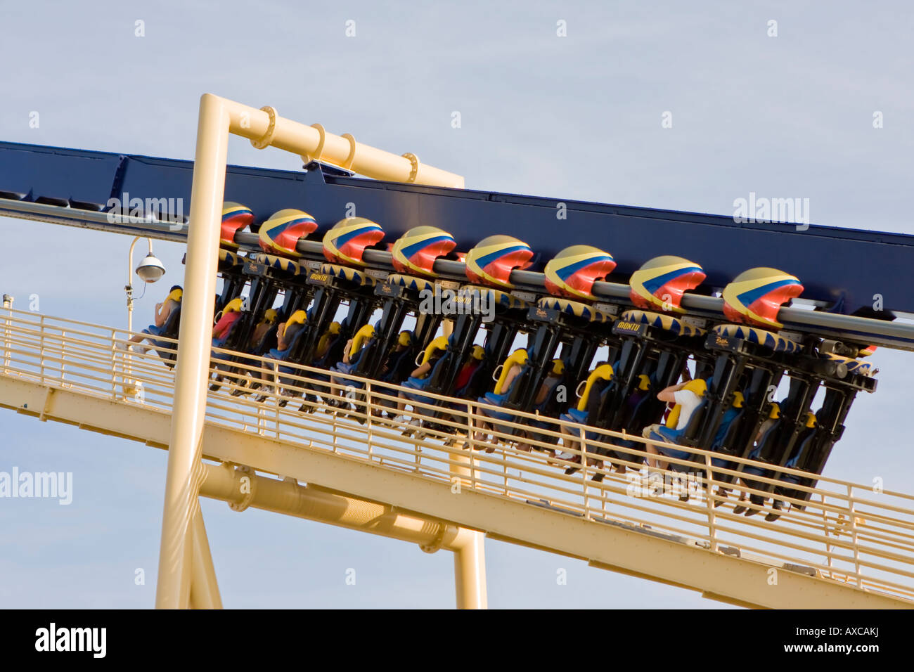 Montu Thrill Ride Roller Coaster at Busch Gardens Florida Stock Photo ...