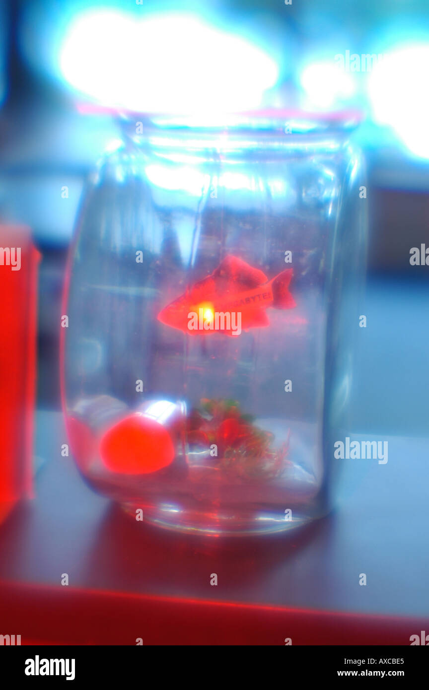 Toy paper goldfish gold fish in a jar aquarium in an office space ...