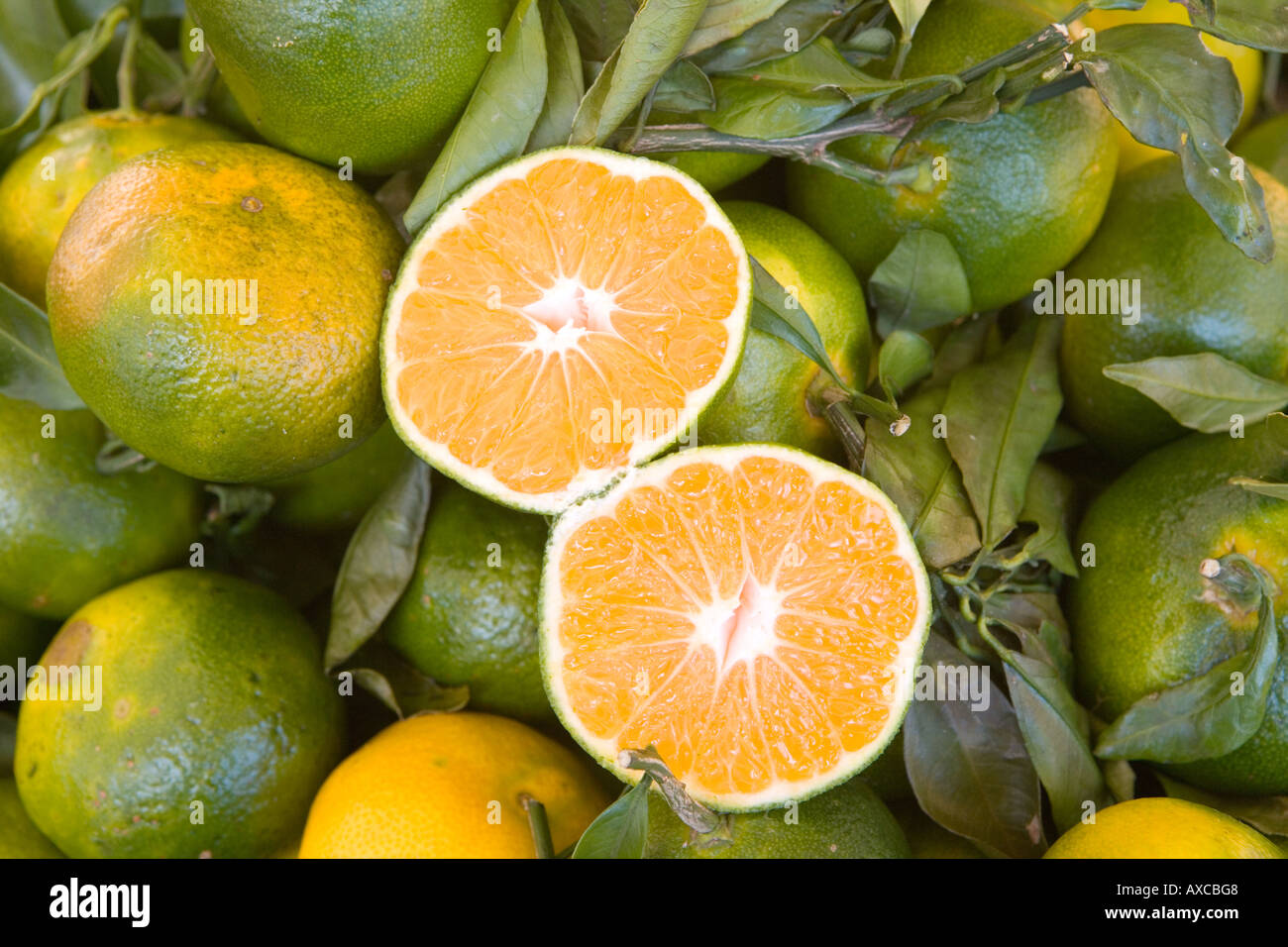 Cut citrus fruits orange hi-res stock photography and images - Alamy