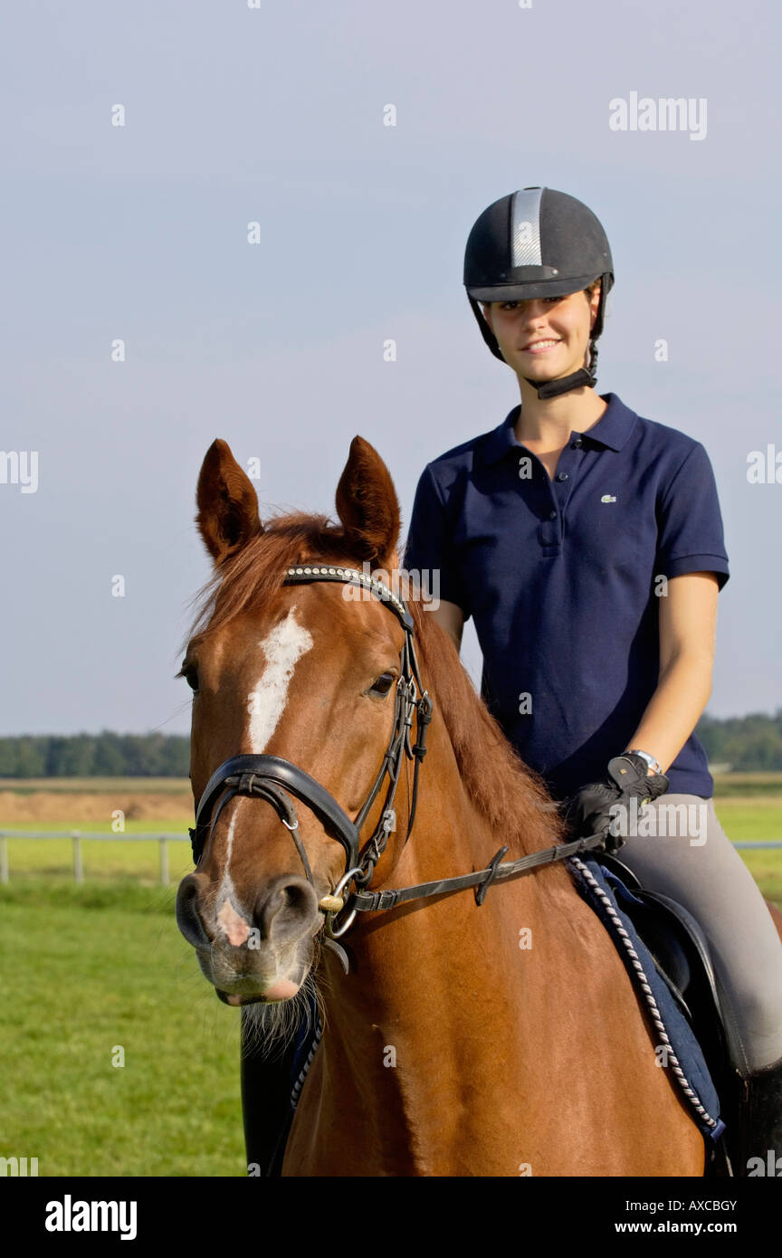 Danish horse hi-res stock photography and images - Alamy