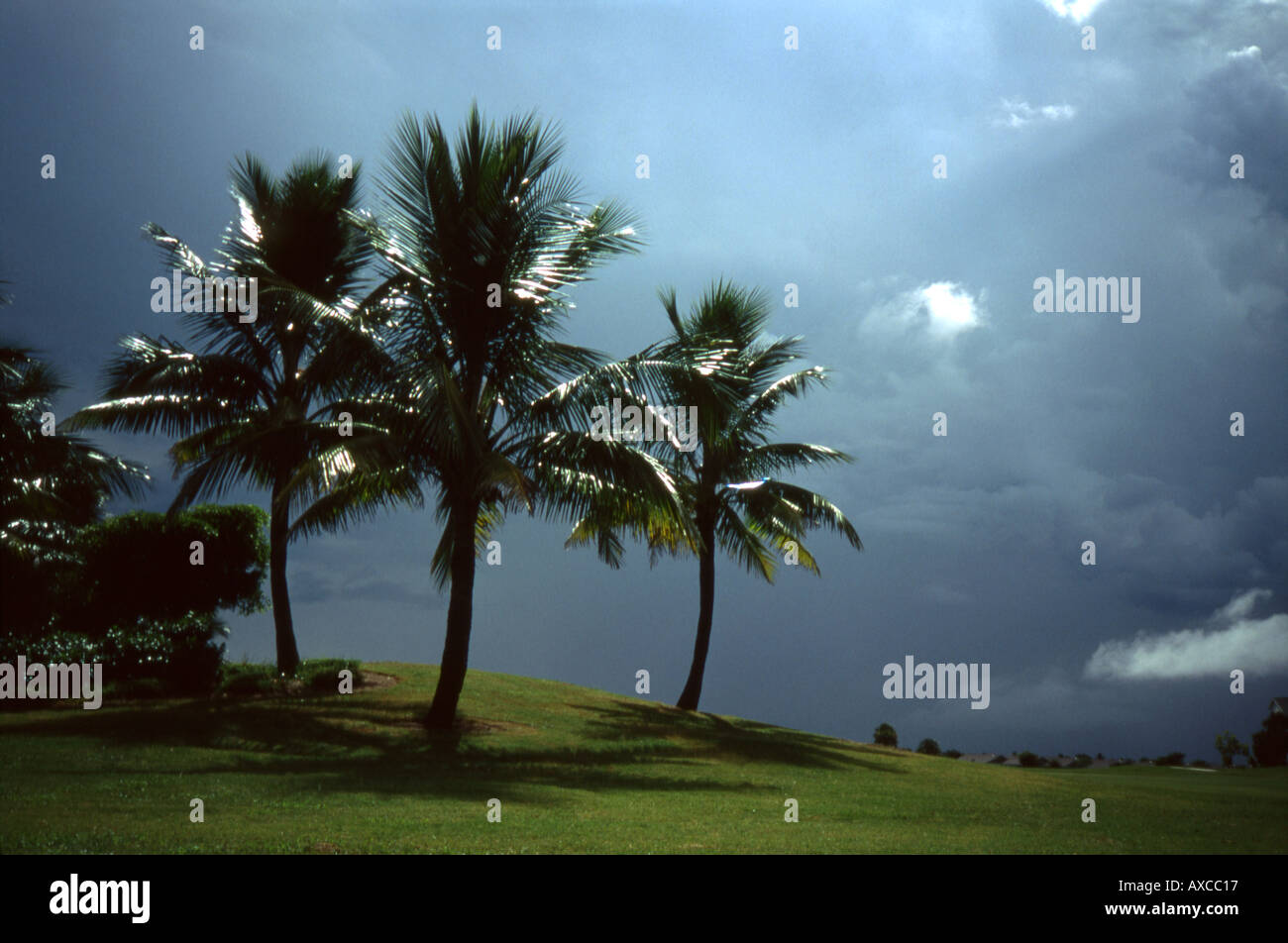 Hurricane andrew florida hi-res stock photography and images - Alamy