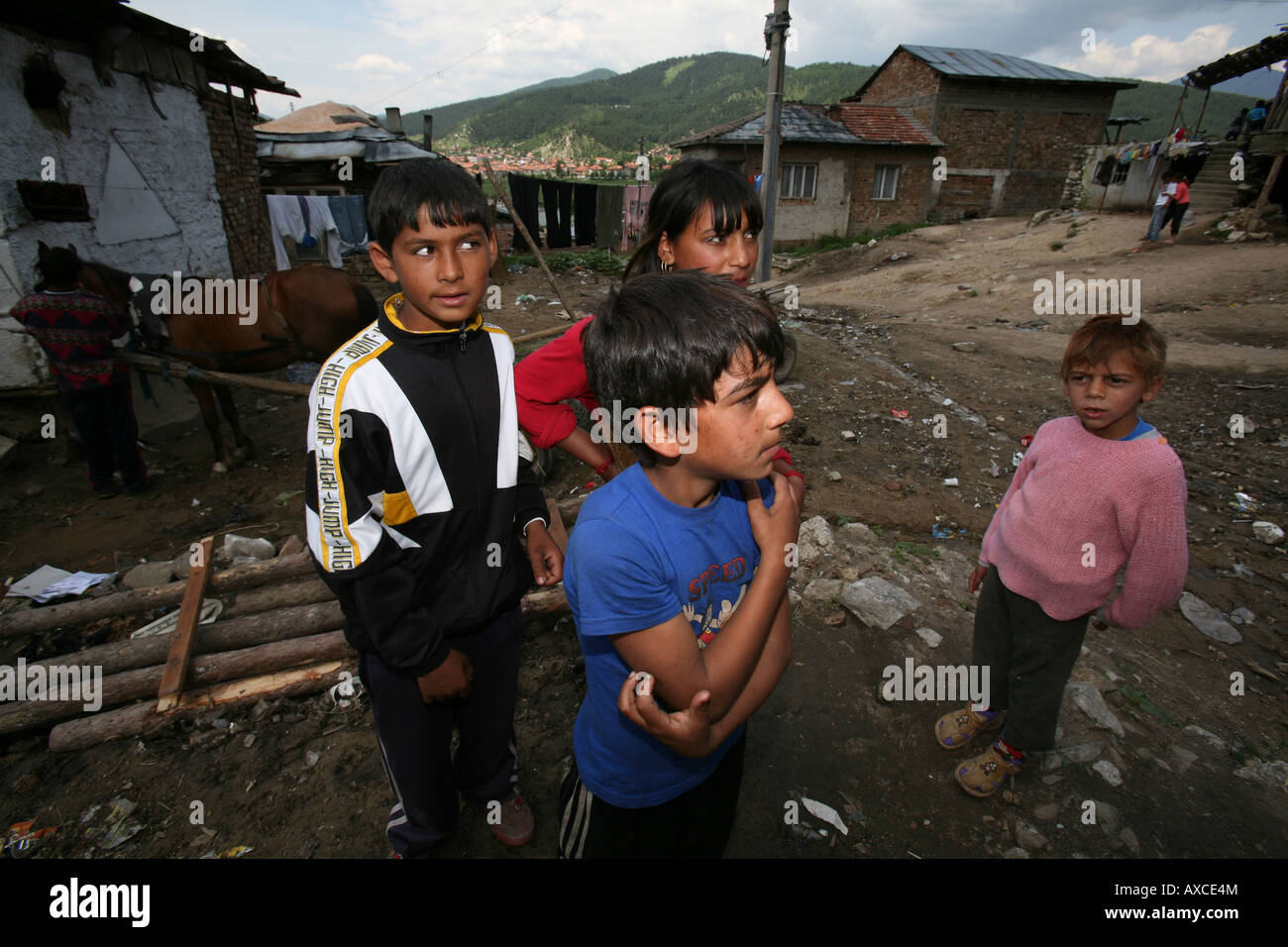 Two million gypsies are living in Bulgaria which is 10 of the ...