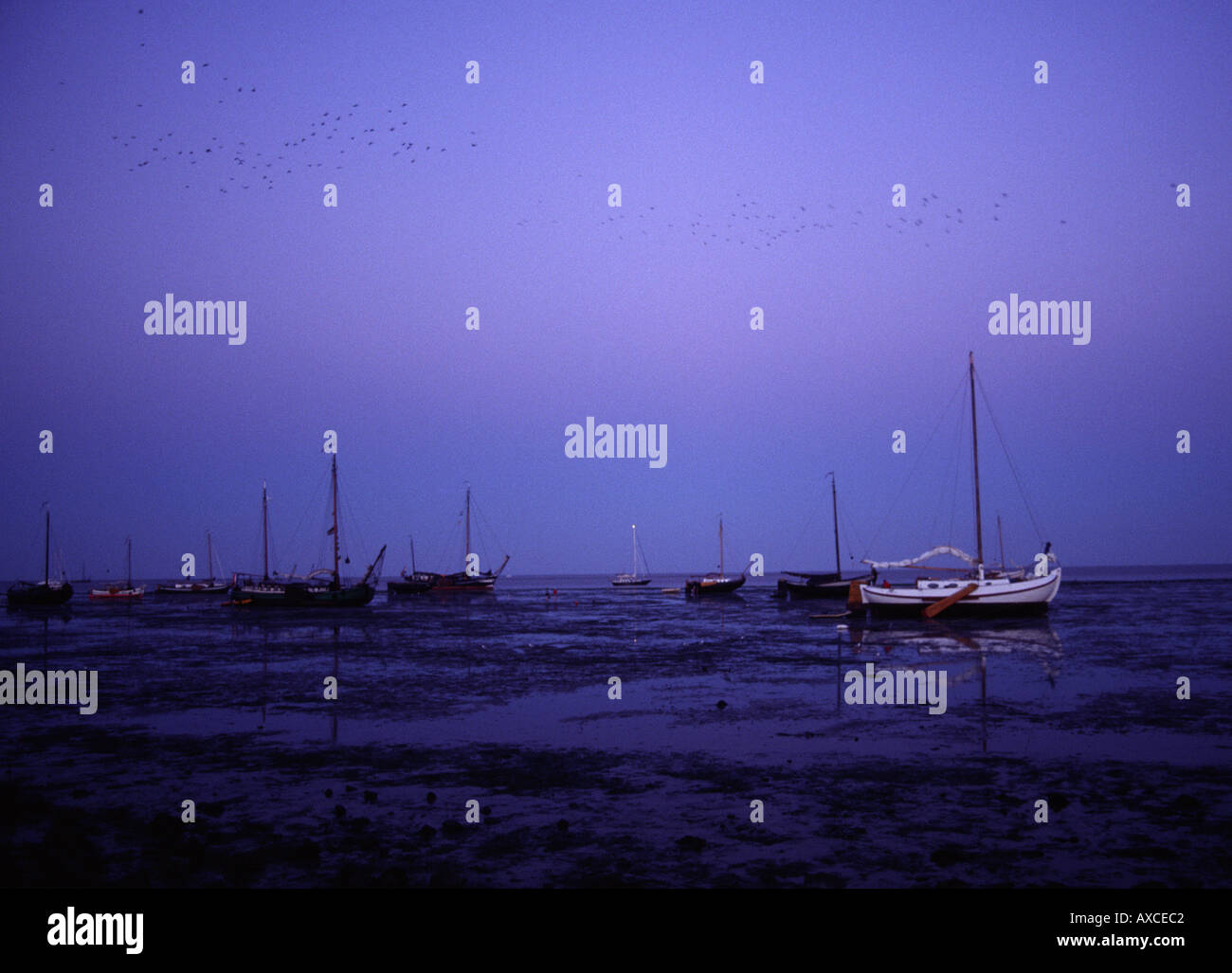 Galliot hi-res stock photography and images - Alamy