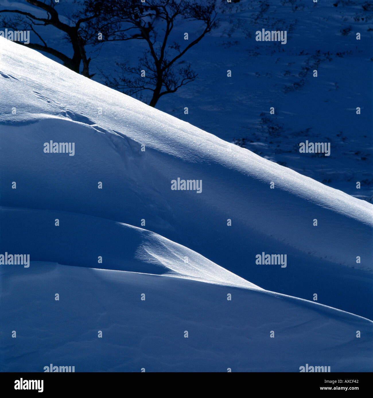 Stanhope common hi-res stock photography and images - Alamy