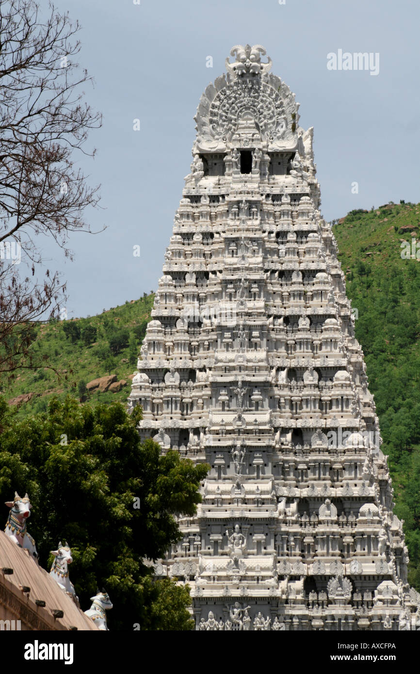 Temple tower, Arunachaleswar Temple, India Stock Photo - Alamy