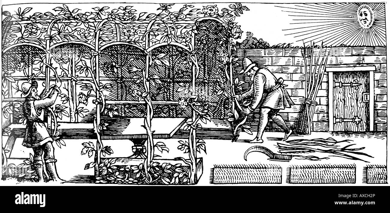 THE GARDENER'S LABYRINTH by Thomas Hill printed in 1586 shows a bright ...