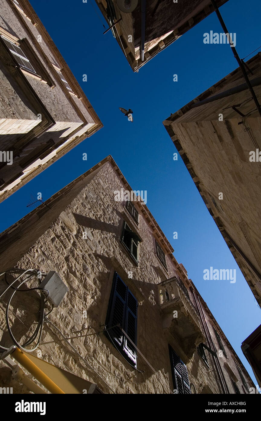 Fly between buildings hi-res stock photography and images - Alamy