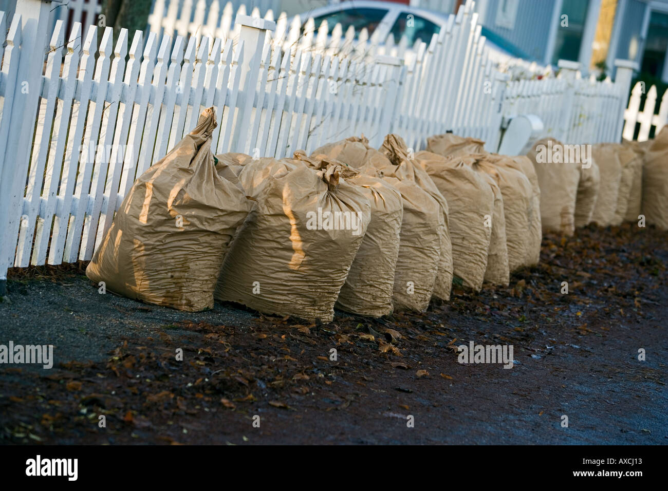 Paper bags with gardening trash waiting for collection Stock Photo - Alamy