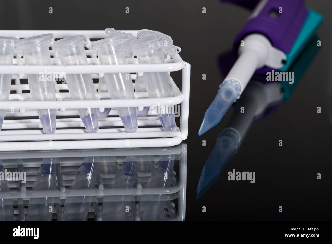 Eppendorf tubes on a rack in dark background Stock Photo - Alamy