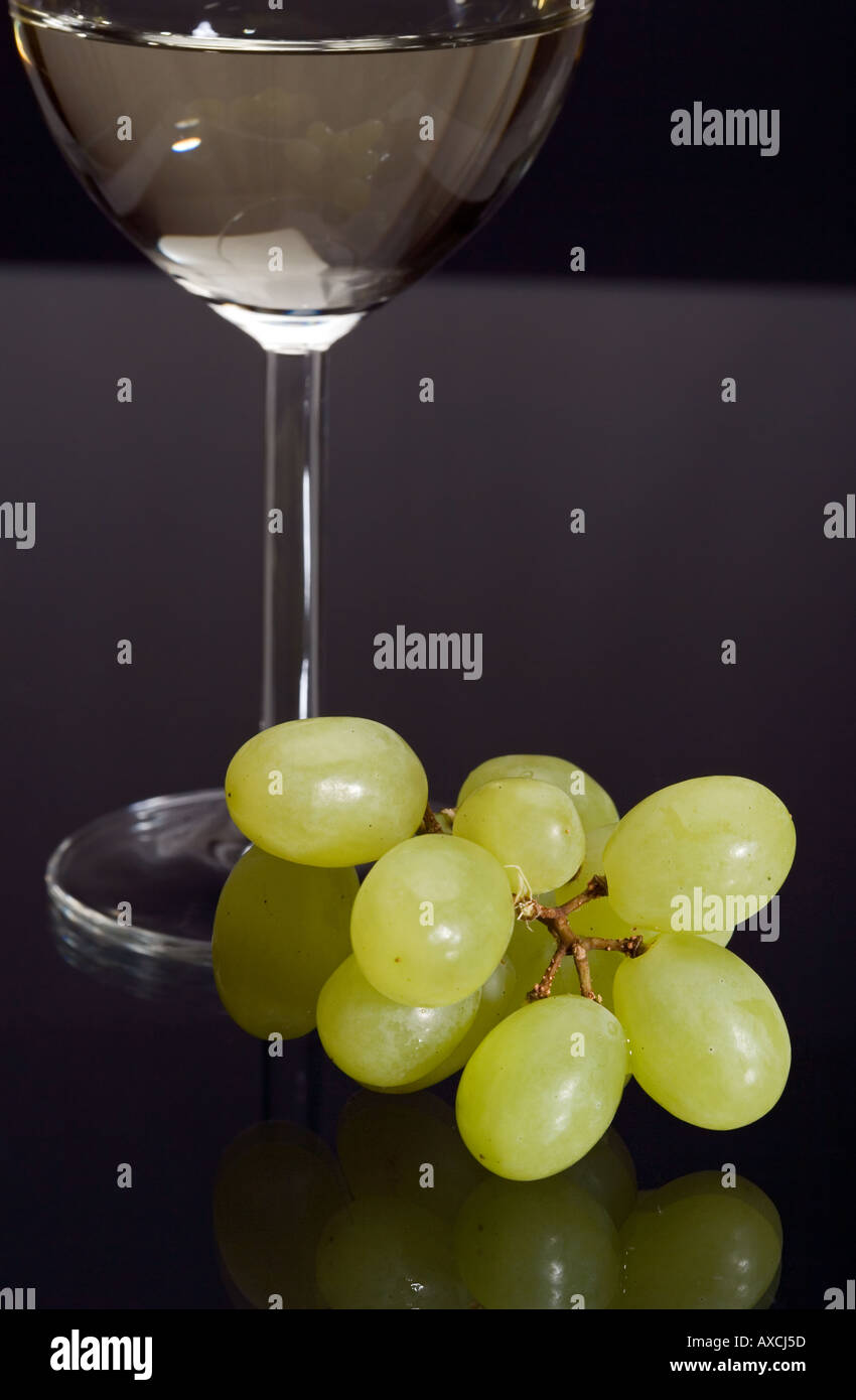 Muscadet grapes hi-res stock photography and images - Alamy
