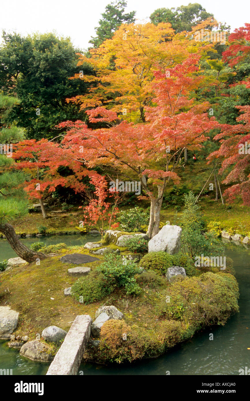 Japan, Kyoto, Tenryu-ji temple, garden Stock Photo - Alamy