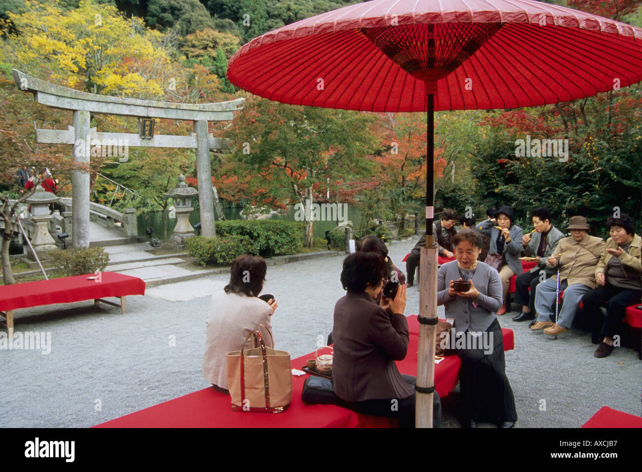 Japan, Kyoto, Zenrin-ji temple, tea garden Stock Photo - Alamy