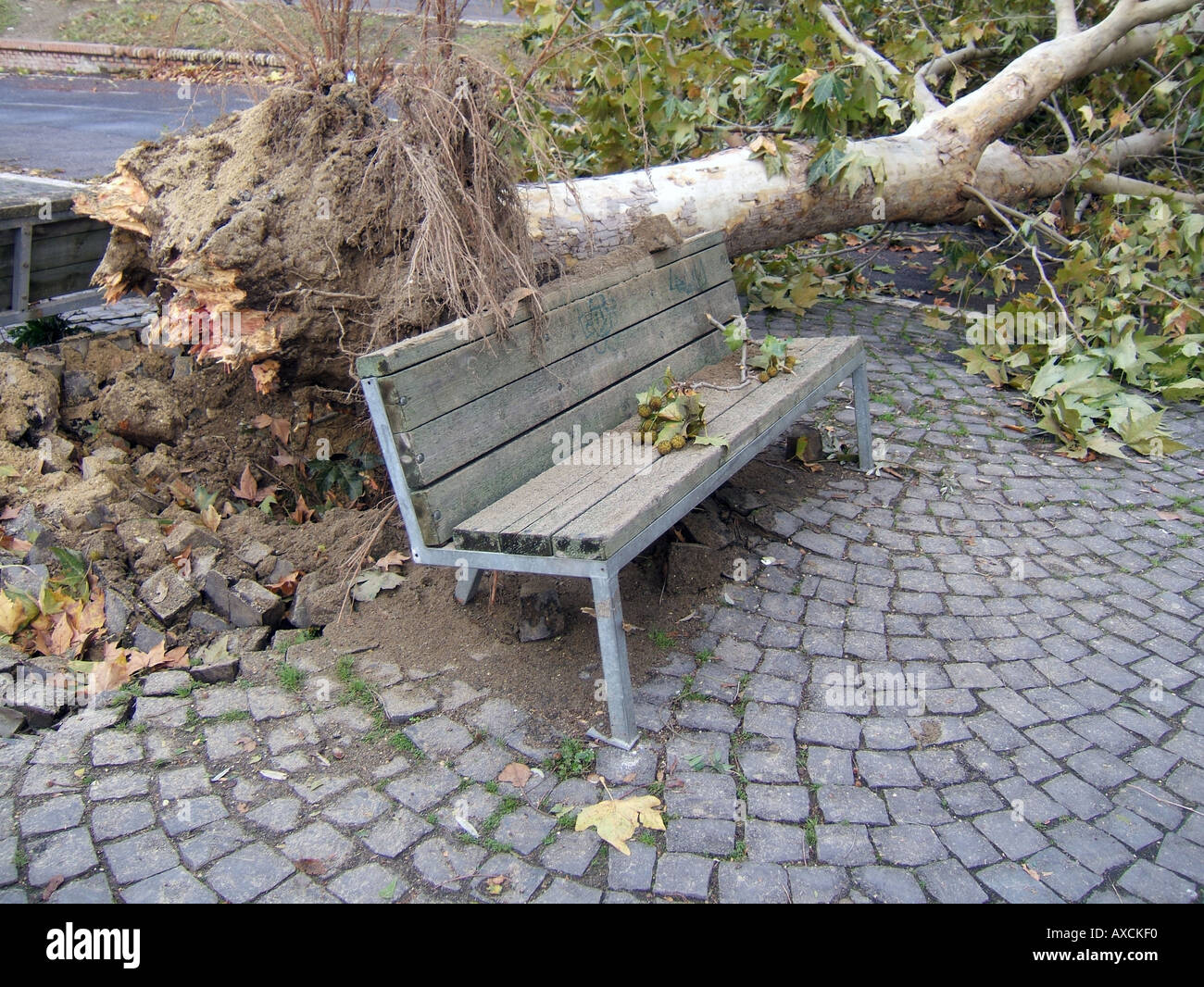 Blown over chair hi-res stock photography and images - Alamy