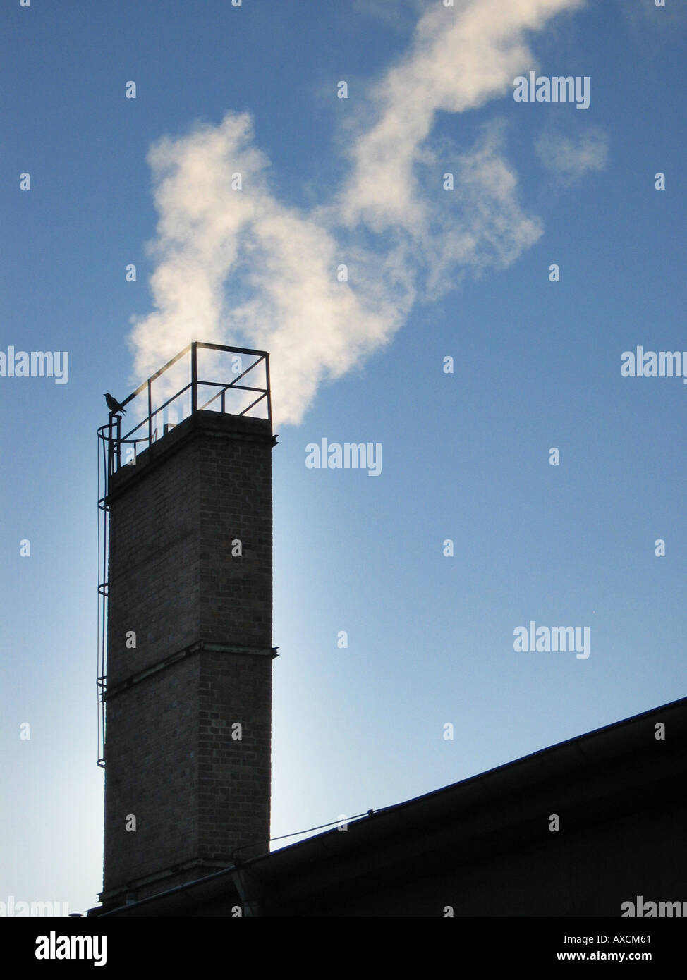 Concentration Camp Crematorium Smoke