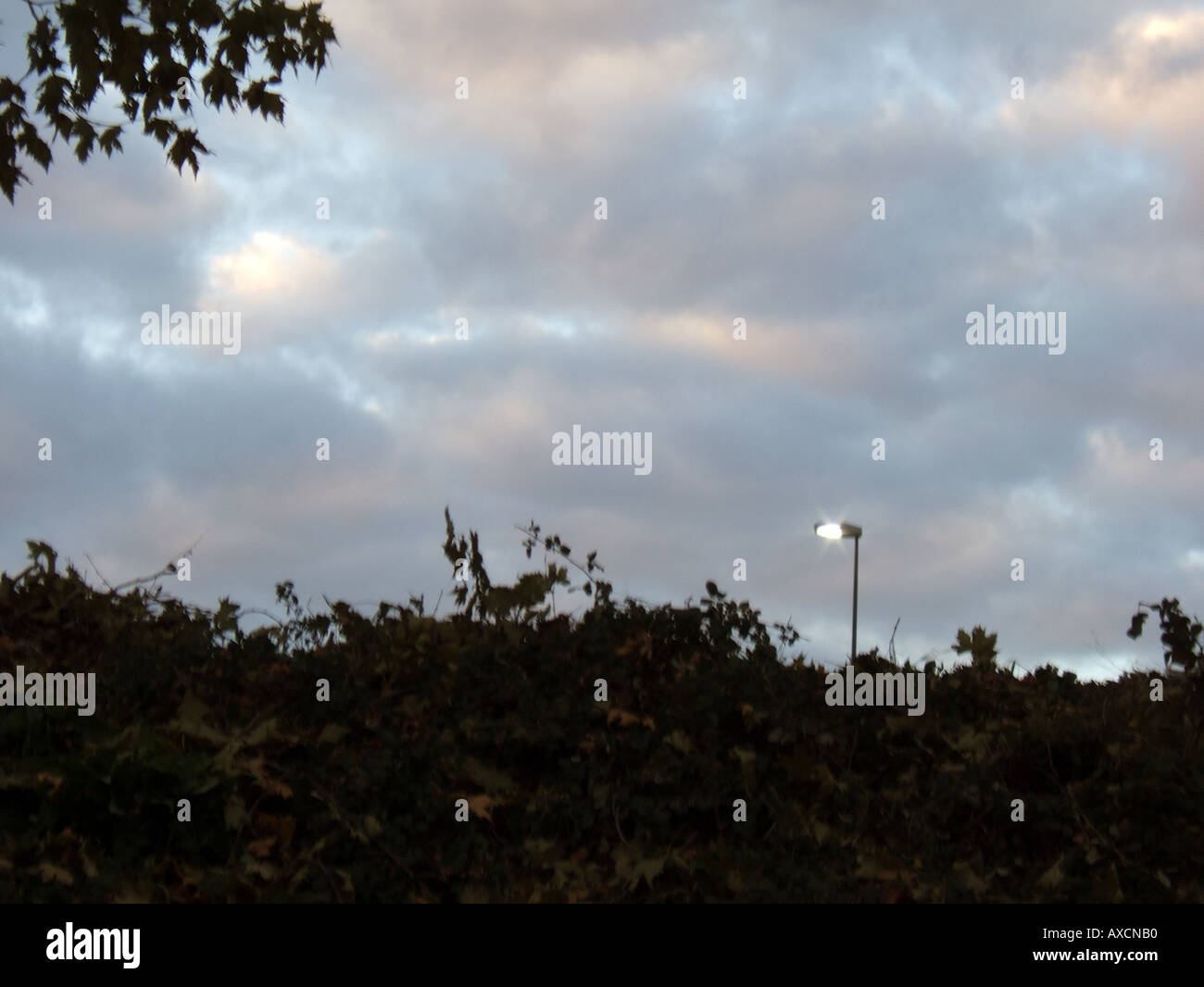 lit street lamp post Stock Photo - Alamy