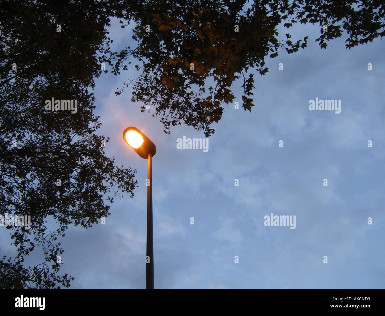 lit street lamp post Stock Photo - Alamy