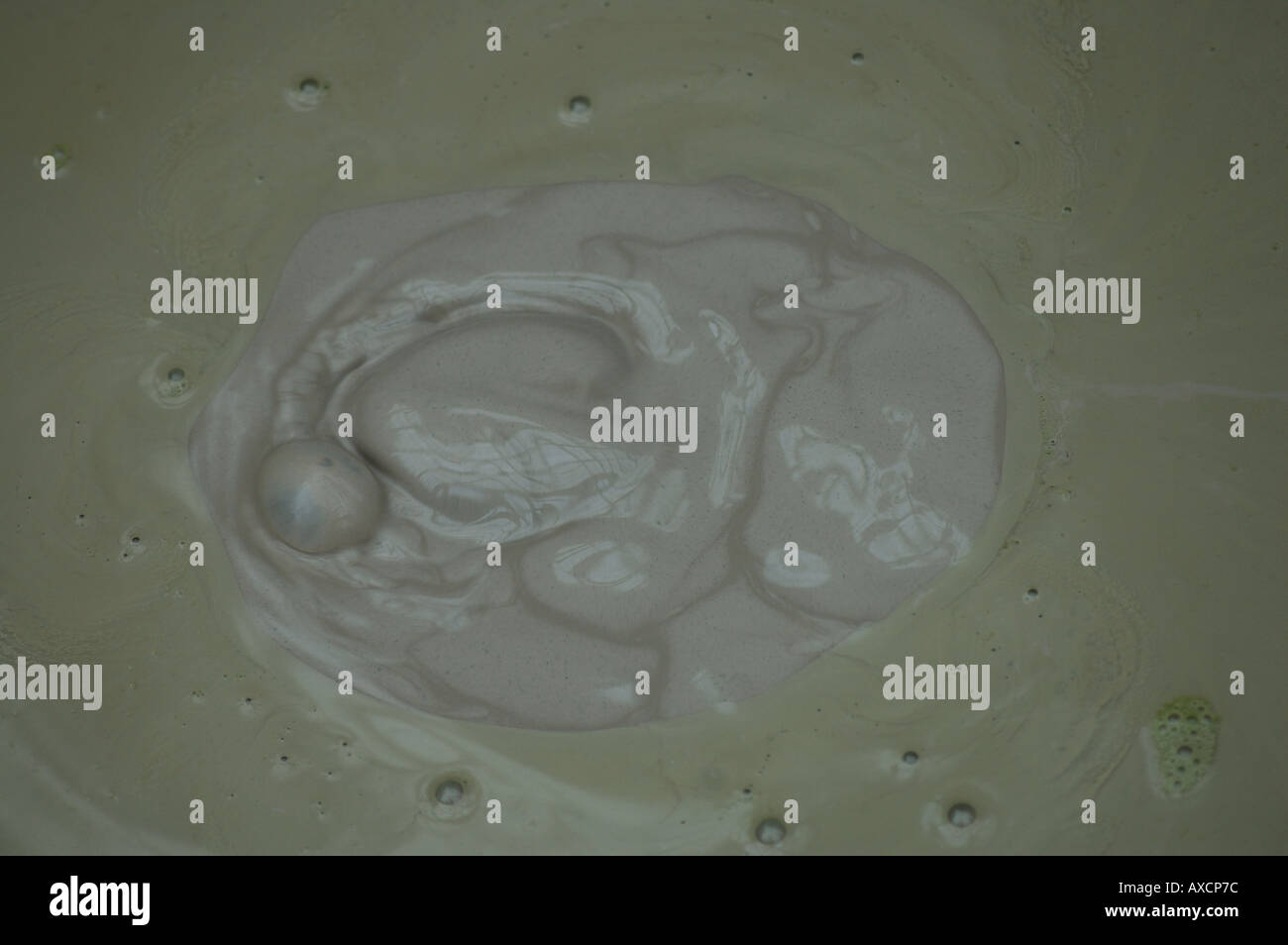 Mud bubble bubbling to surface in mud pool Stock Photo - Alamy