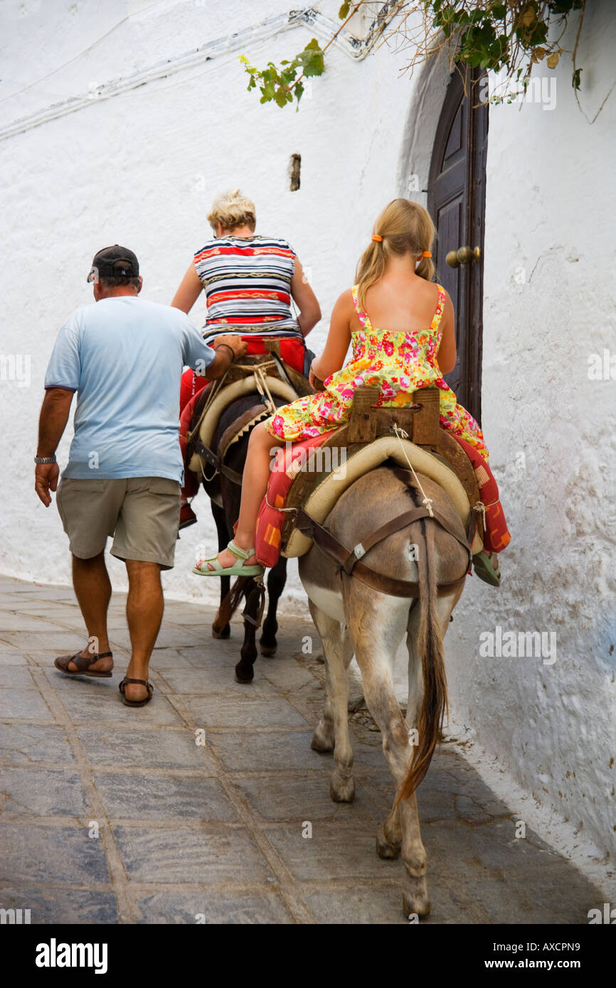 Donkeys in lindos rhodes hi-res stock photography and images - Alamy