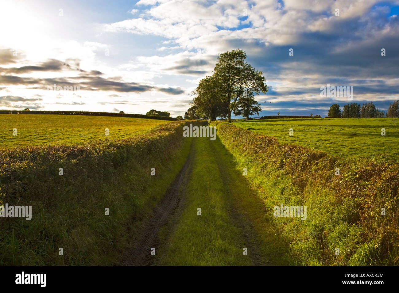 Boreen ireland hi-res stock photography and images - Alamy