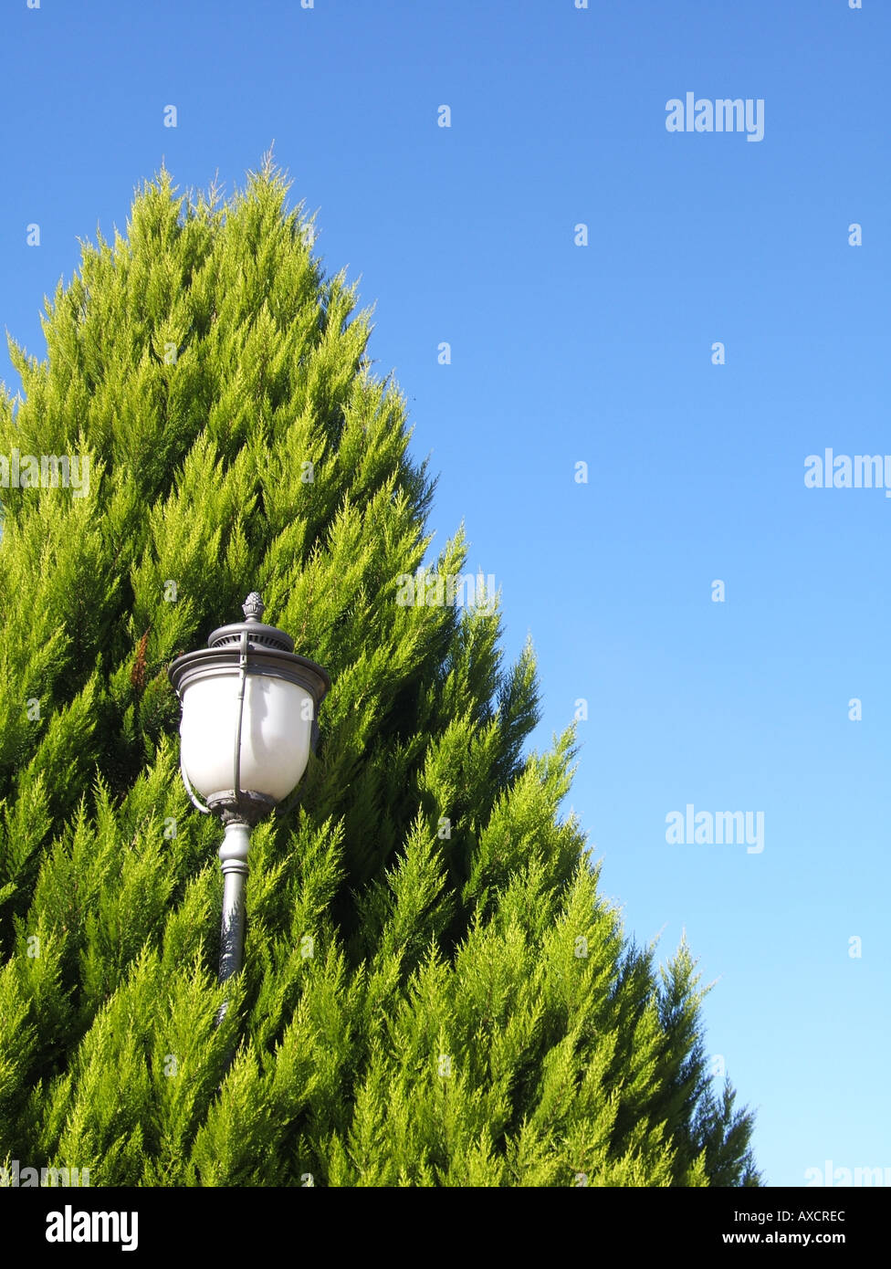 Lamp post of unusual shape hi-res stock photography and images - Alamy