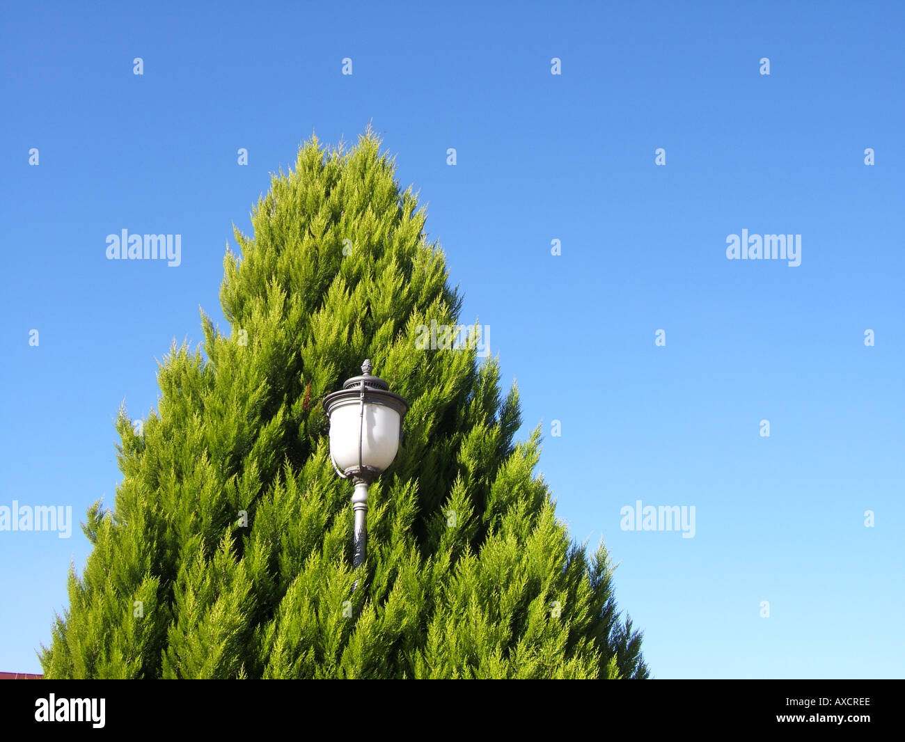 Odd lampost hi-res stock photography and images - Alamy