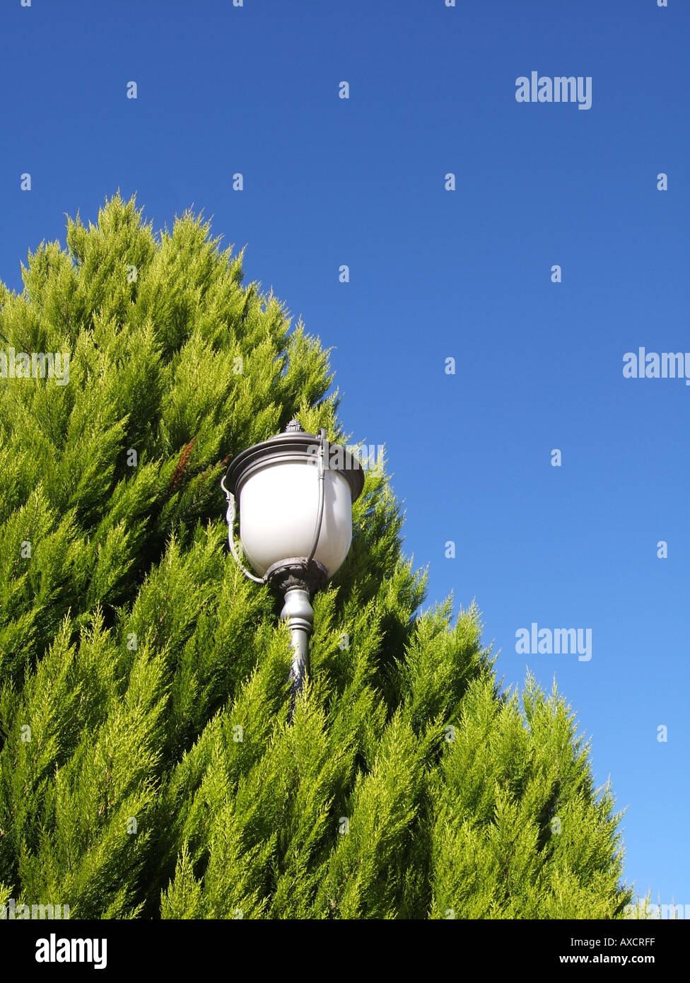 Lamp post of unusual shape hi-res stock photography and images - Alamy