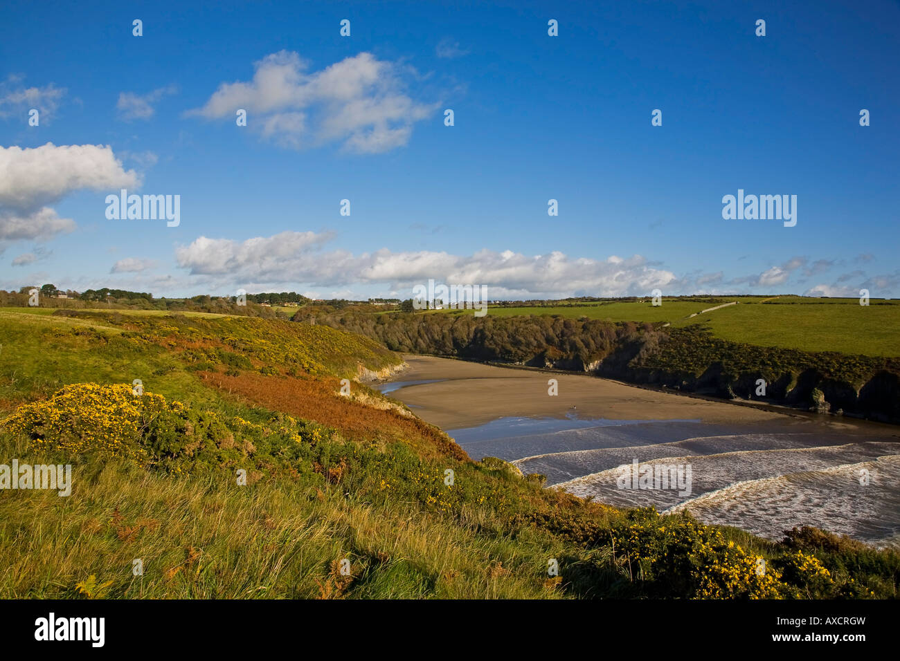 Stradbally Cove, The Copper Coast, County Waterford, Ireland Stock ...