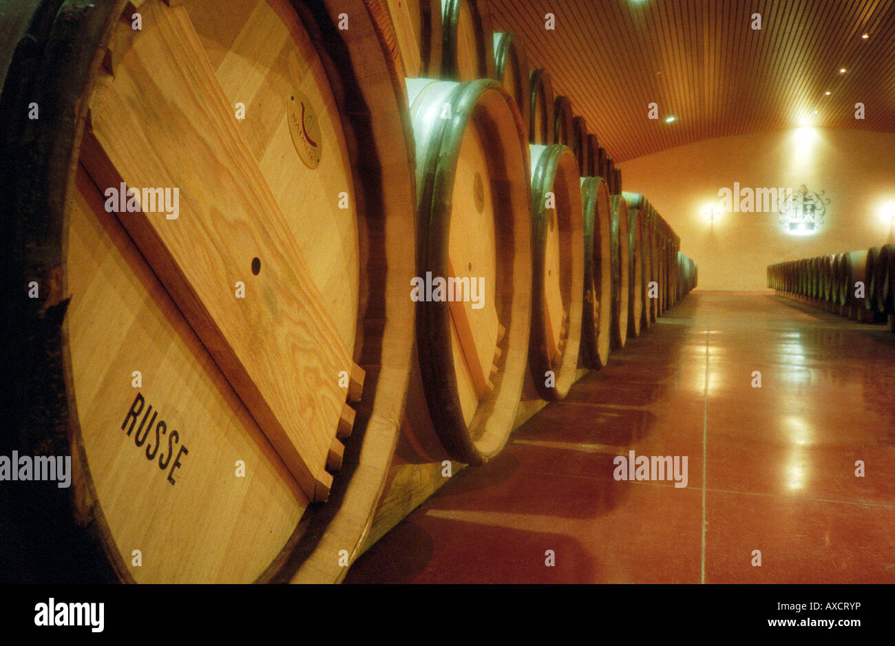 Russian oak experiment. Oak barrel aging and fermentation cellar ...