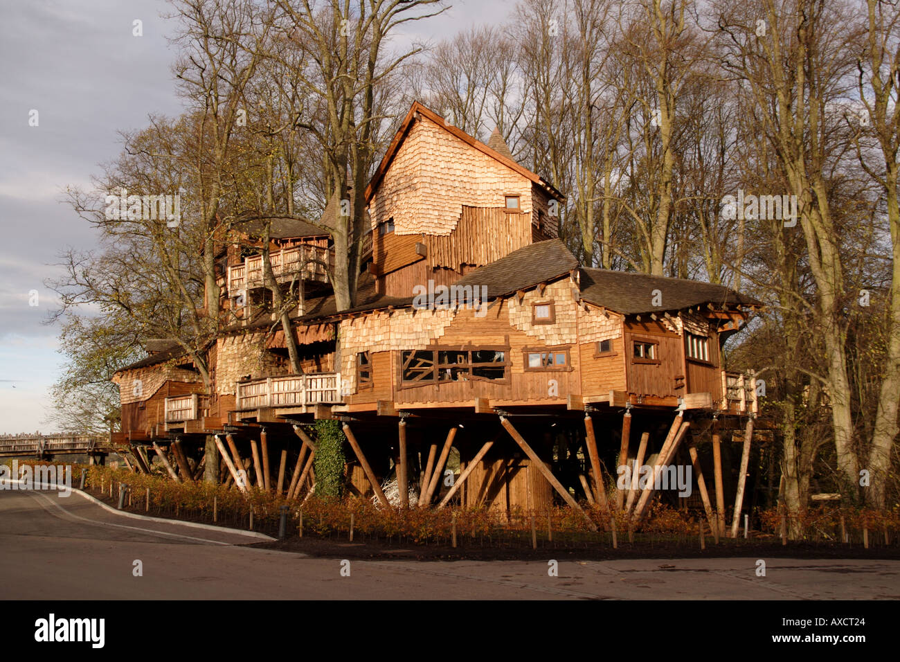 Alnwick treehouse hi-res stock photography and images - Alamy