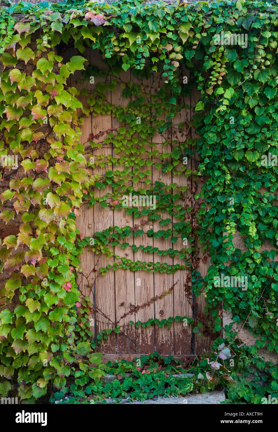 Old Doorway, Cruzy, Languedoc-Roussillon, France Stock Photo - Alamy