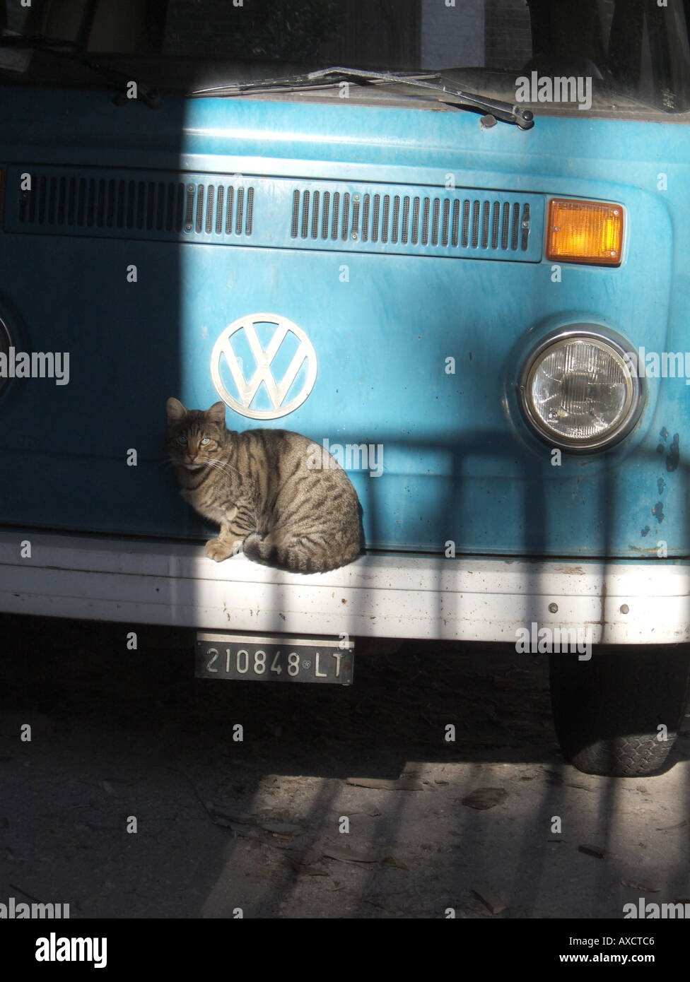 cat sitting on van Stock Photo - Alamy