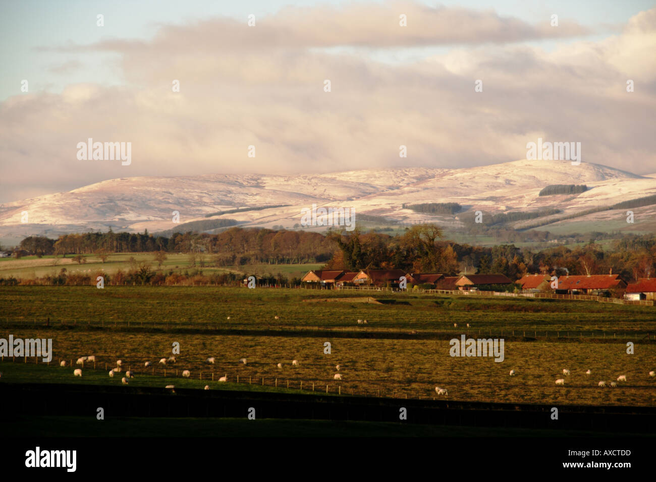 Cheviot village hi-res stock photography and images - Alamy