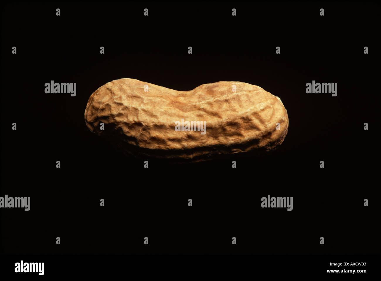 Earth nut pea hi-res stock photography and images - Alamy
