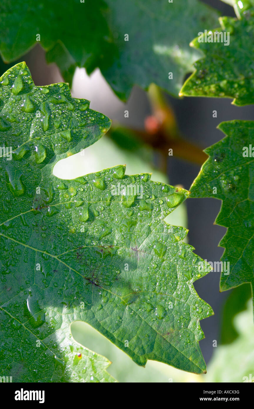 Ak30 291 9121 hi-res stock photography and images - Alamy