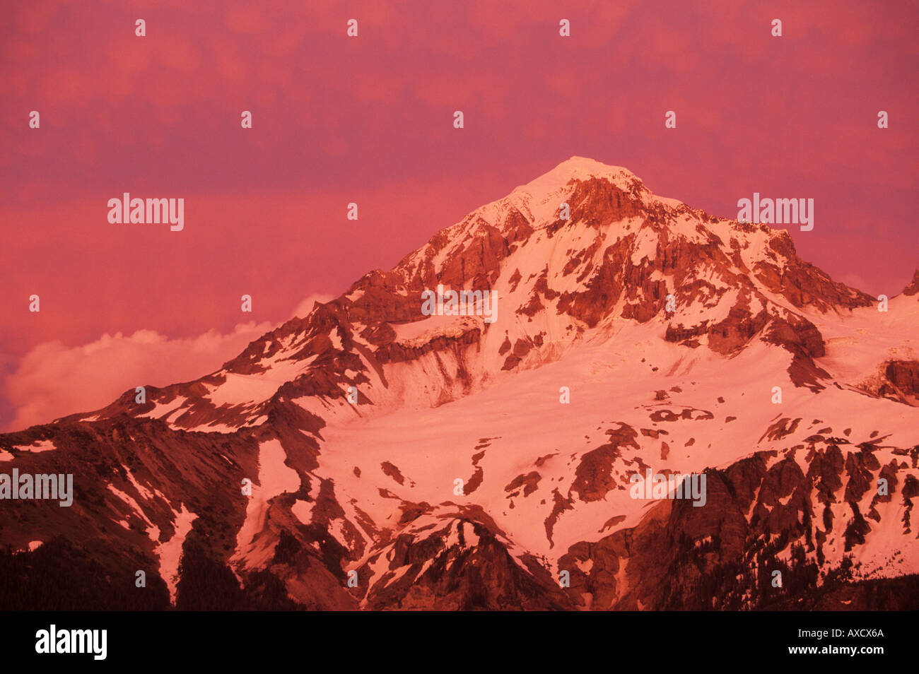 Sunset colors the western face of Mount Hood in Mount Hood National ...