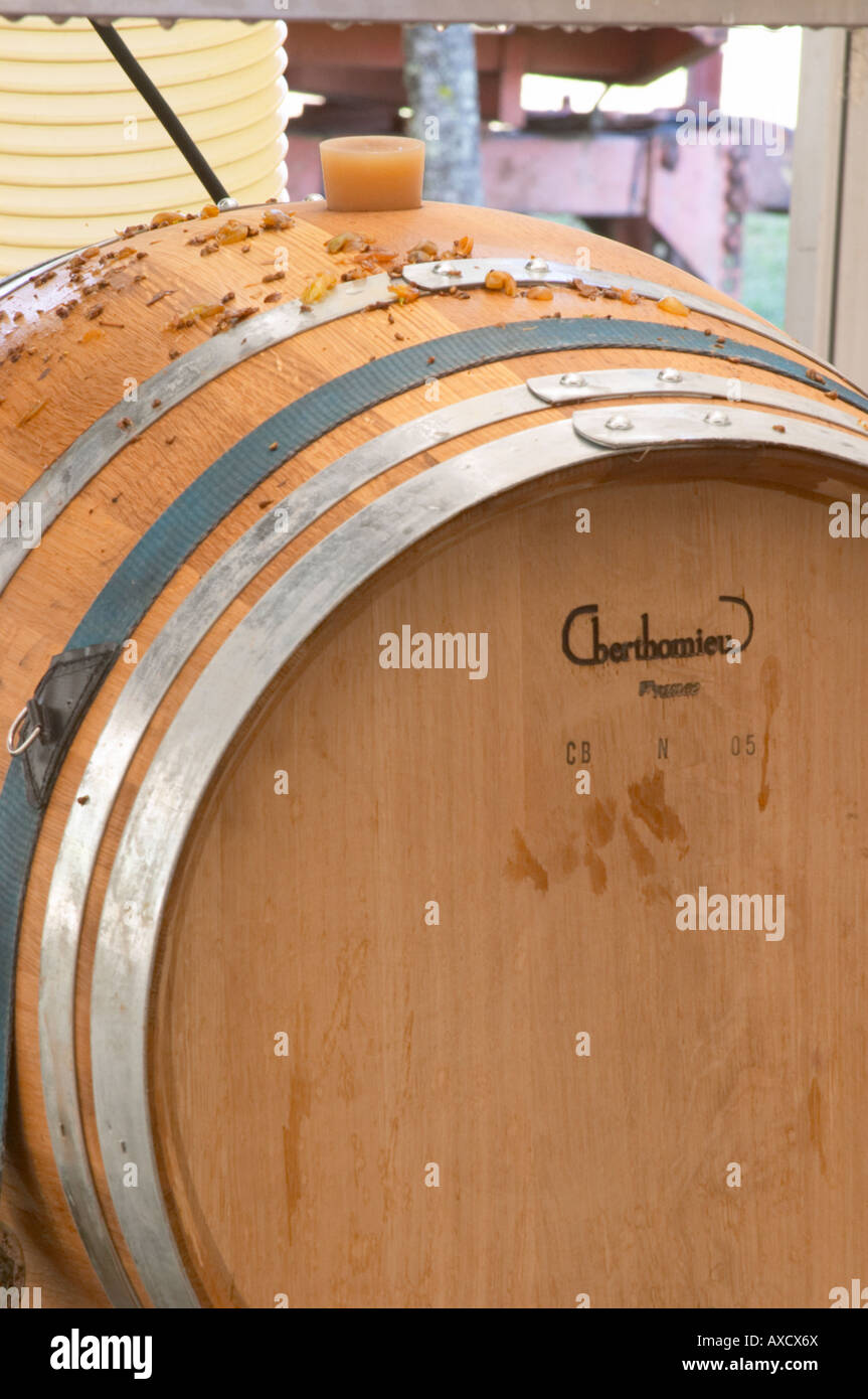 Oak barrel aging and fermentation cellar. Girolate winery. Despagne ...