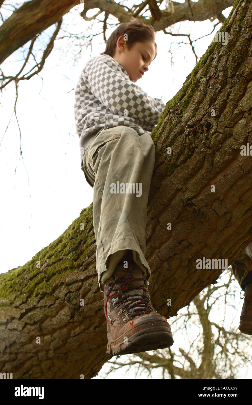 Young teenage boy alone climbing a tree branch Stock Photo - Alamy