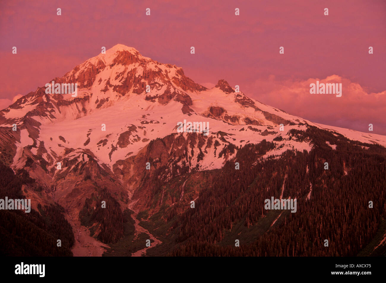 Sunset colors the western face of Mount Hood in Mount Hood National ...