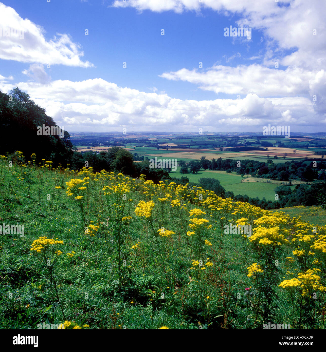 Somerset - View from Cothelstone Hill in the Quantocks Stock Photo - Alamy