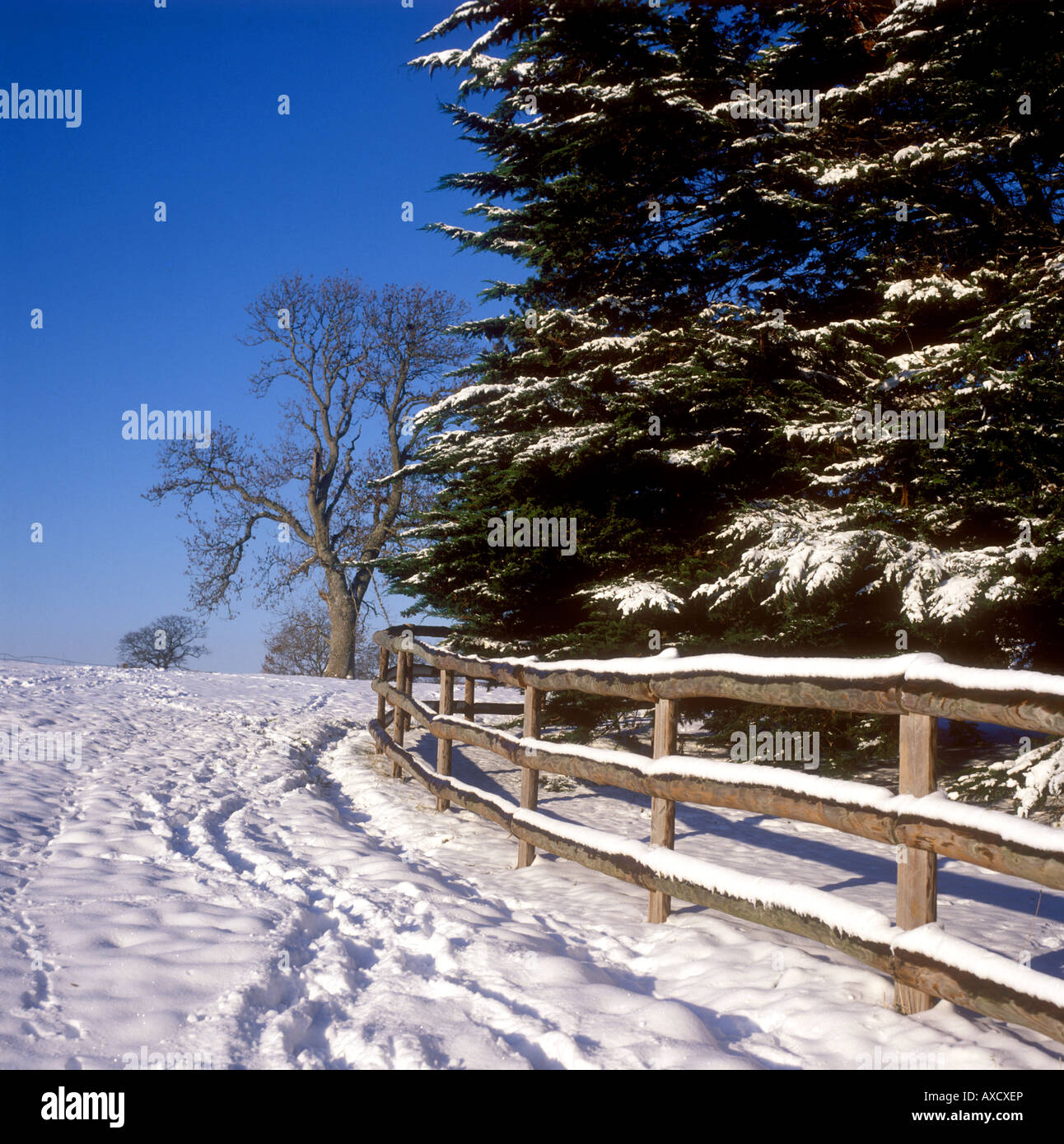 Misterton hi-res stock photography and images - Alamy