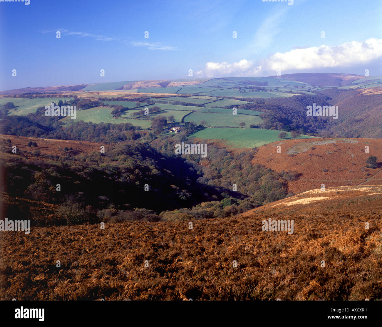 Dunkery autumn hi-res stock photography and images - Alamy
