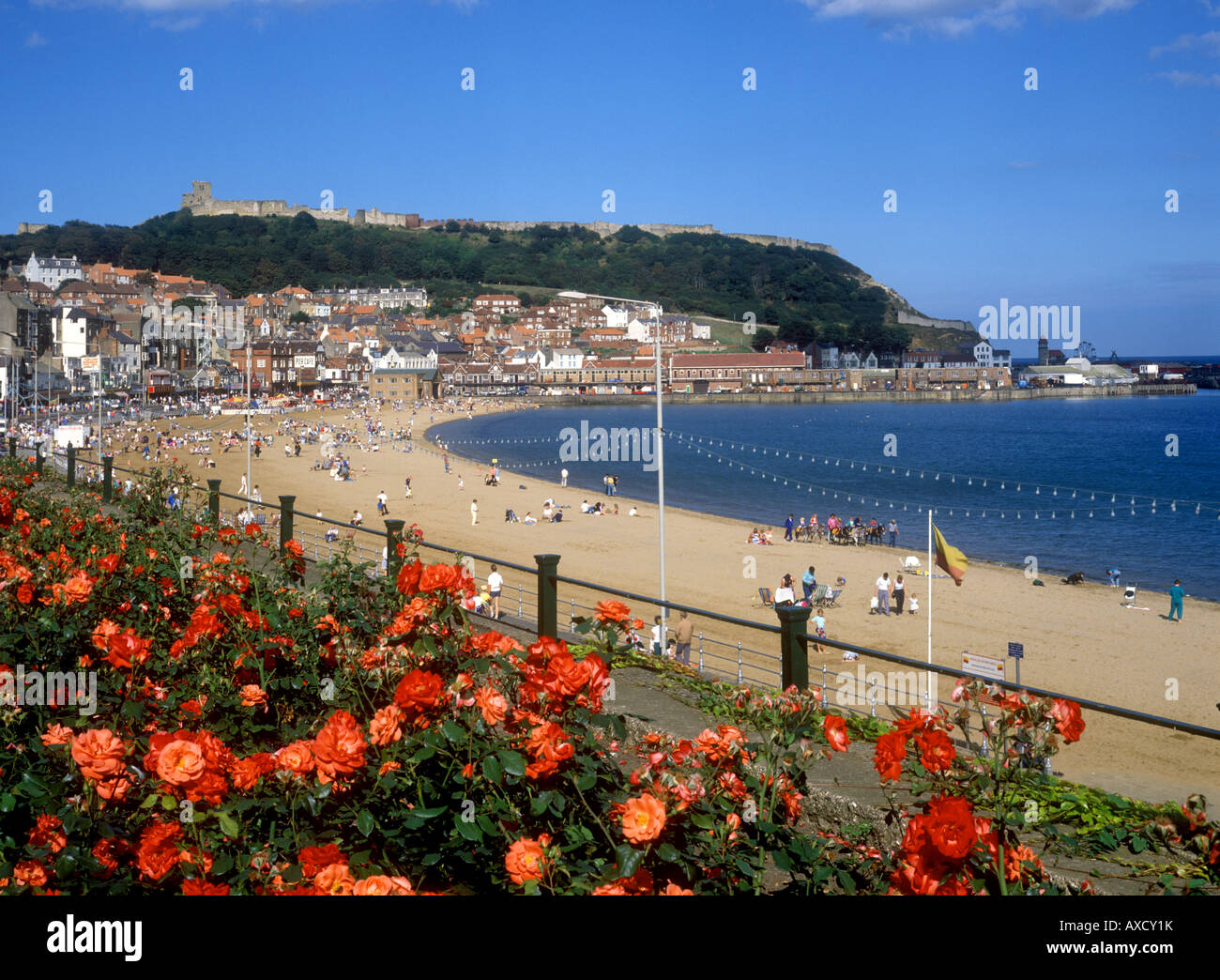 Scarborough castle flowers hi-res stock photography and images - Alamy