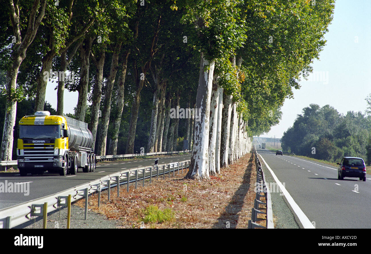 Tree lined route Brittany France Europe EU Stock Photo - Alamy