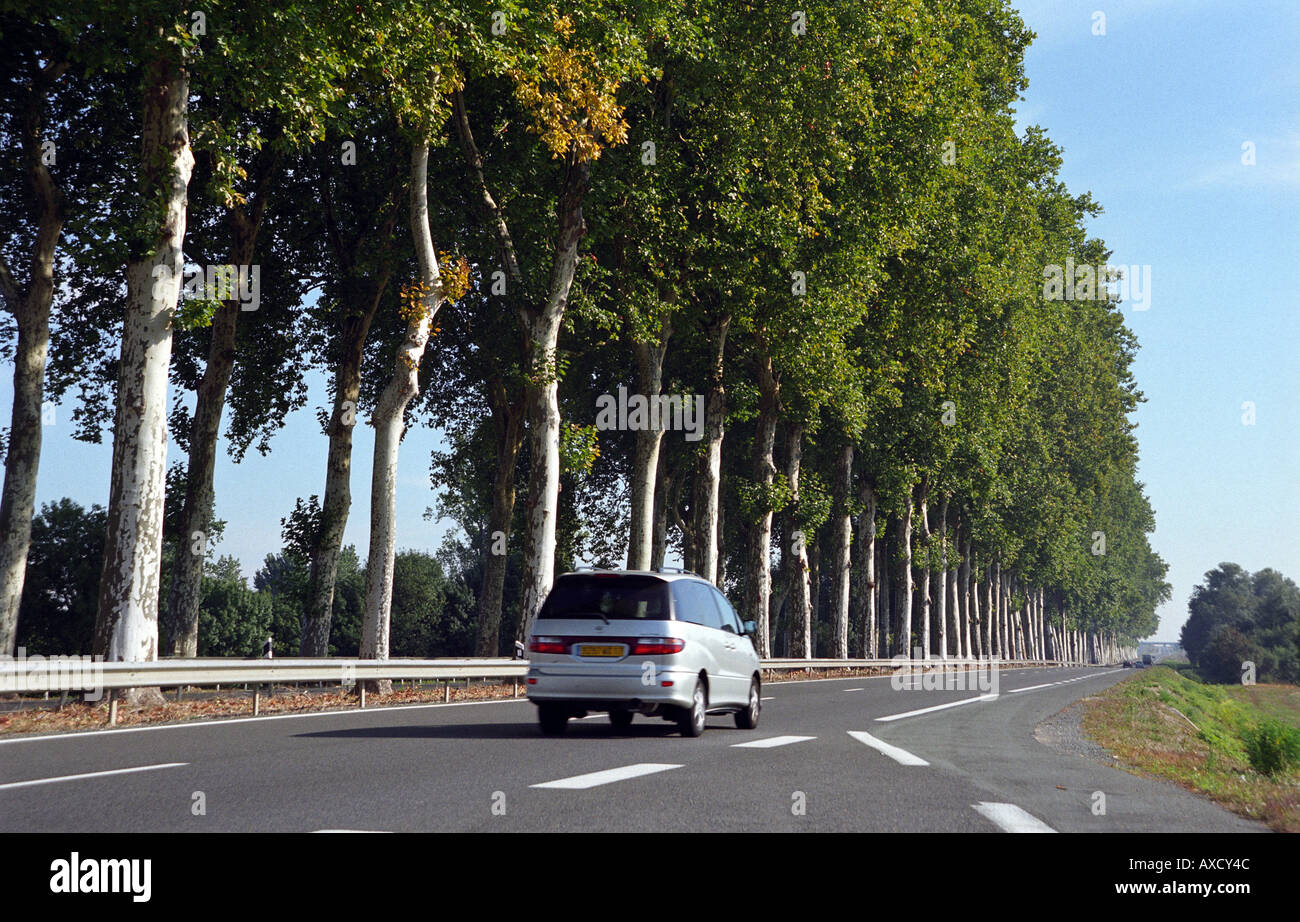 Tree lined route Brittany France Europe EU Stock Photo - Alamy
